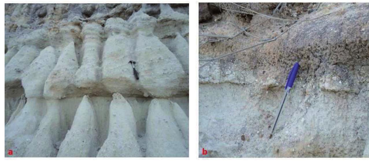 Outcrop seven, it is friable. trough cross-bedding and