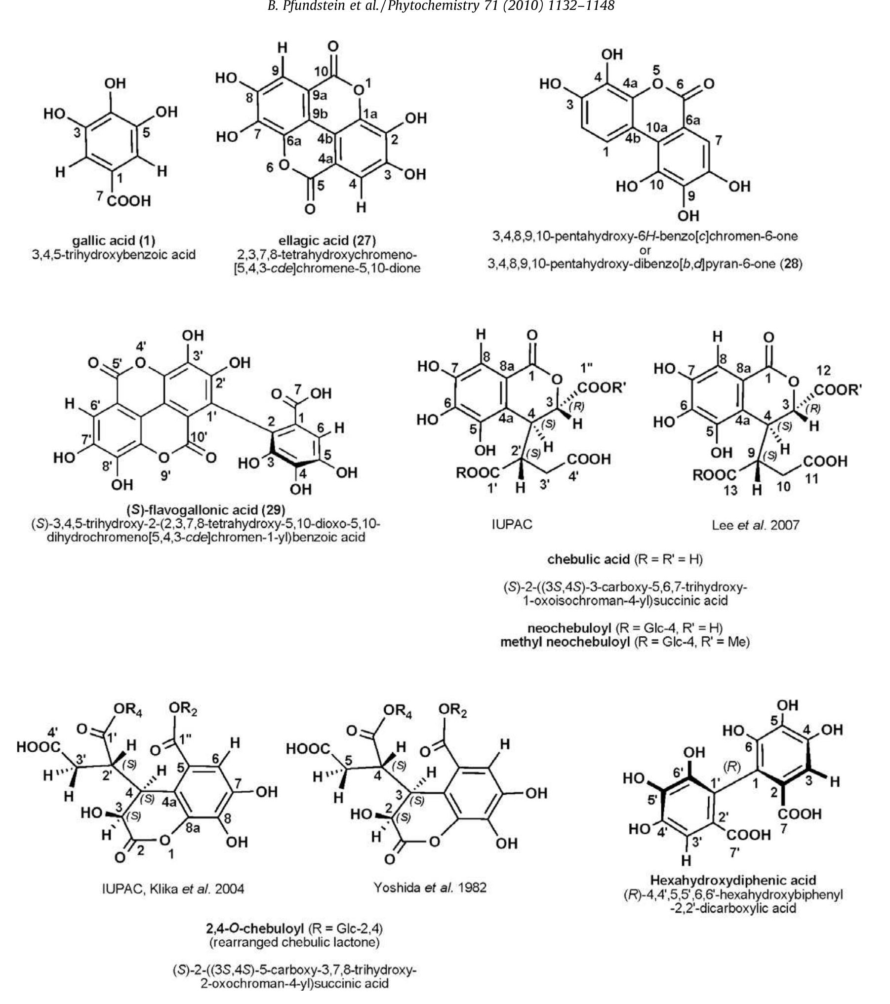 Iupac and other commonly used atom numbering schemes for