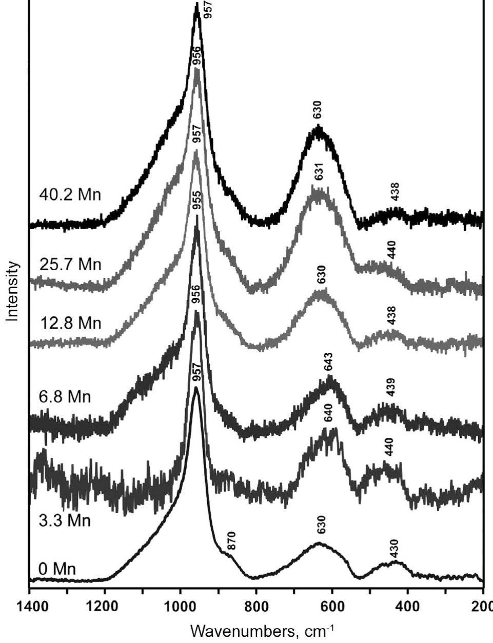 Raman spectra of the silicate-phosphate glasses from the