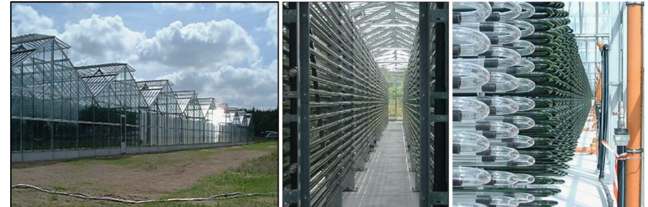 Figure 3 - from Second Generation Biofuels: High-Efficiency