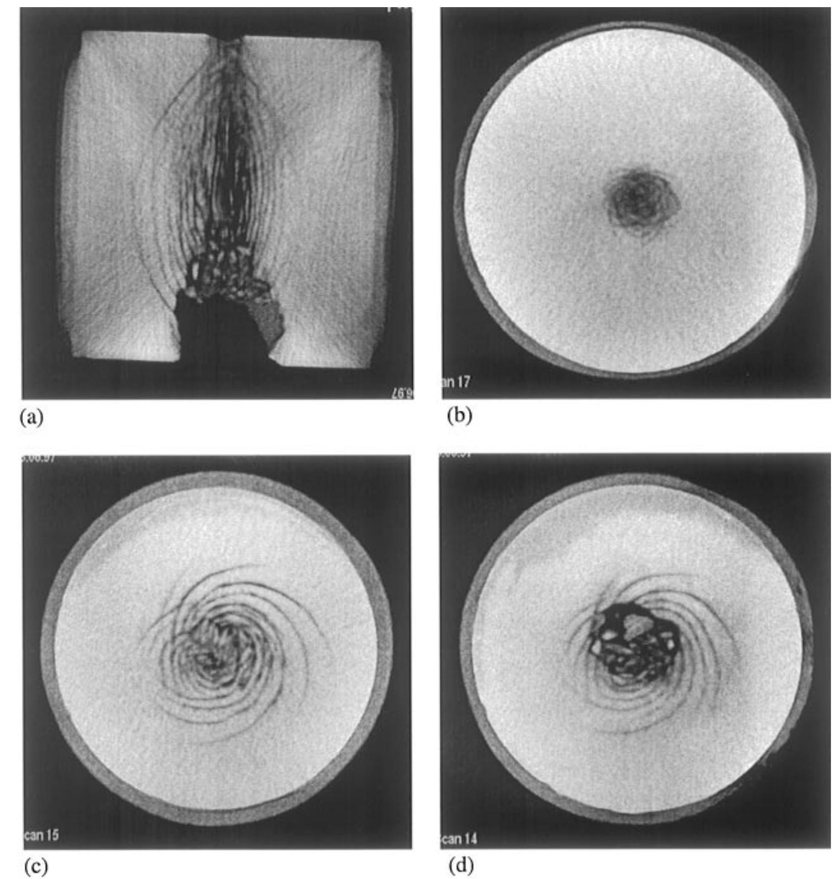 X-ray ct scans of the tested specimen: (a) vertical cross