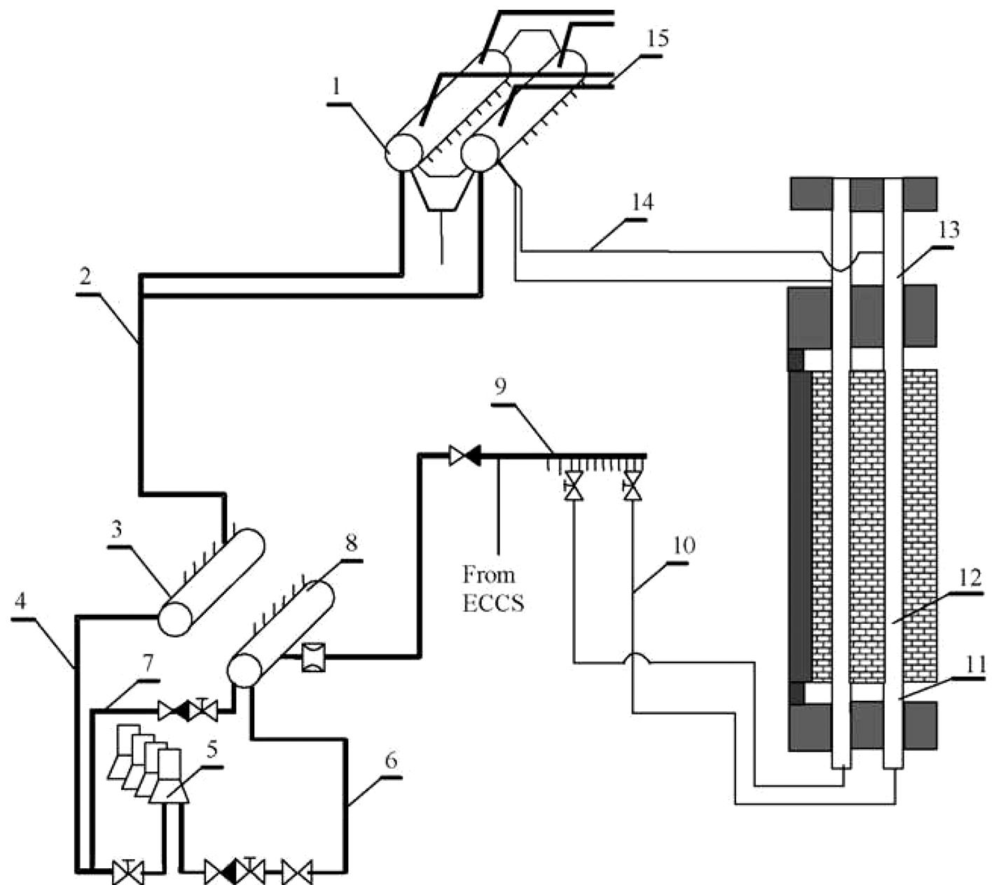 Rbmk main circulation circuit flow diagram: (1) separator