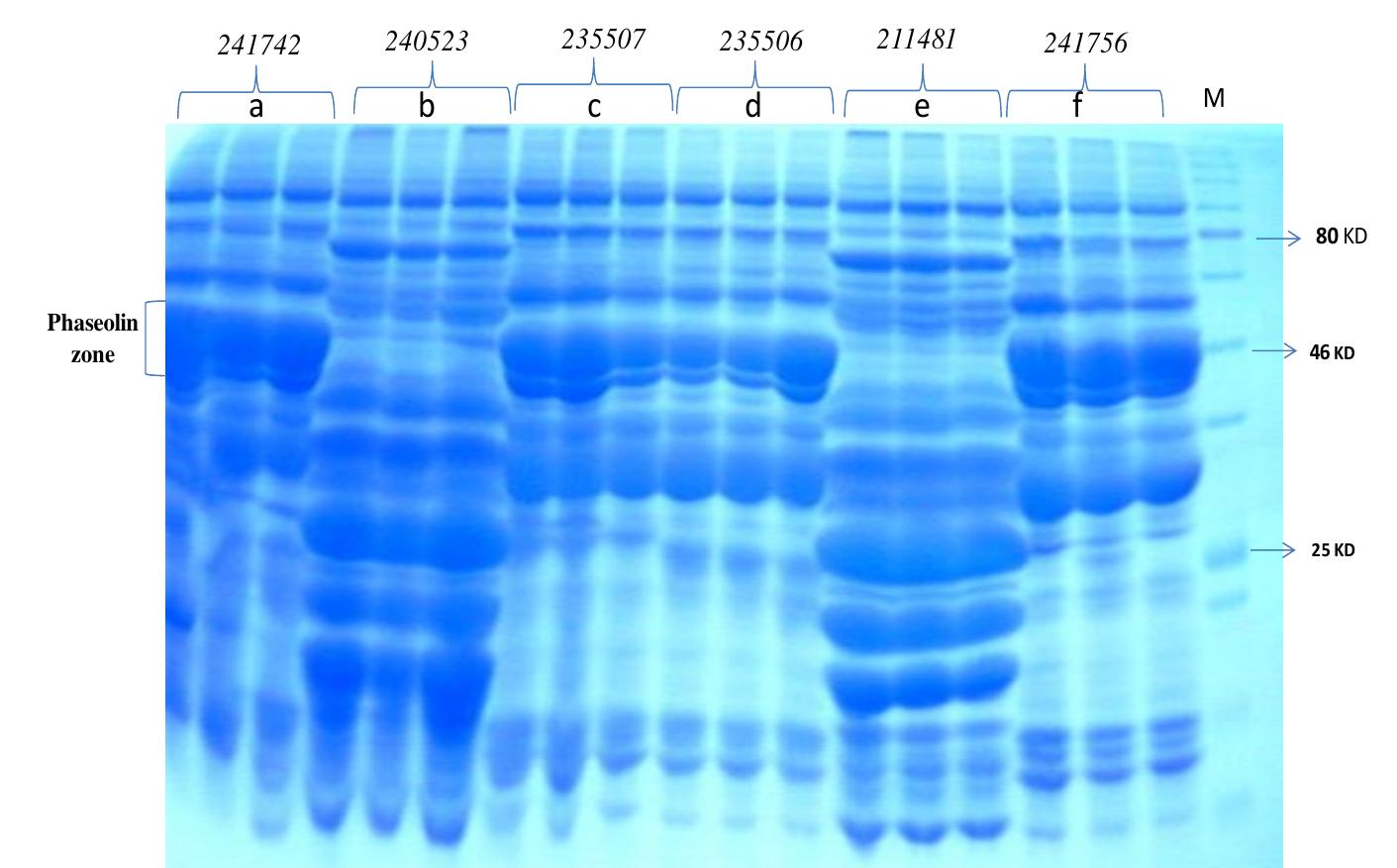 Genetic diversity of common bean there were three variants