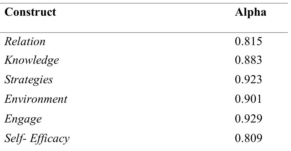 Cronbach’s alpha coefficients of ptpe subscales