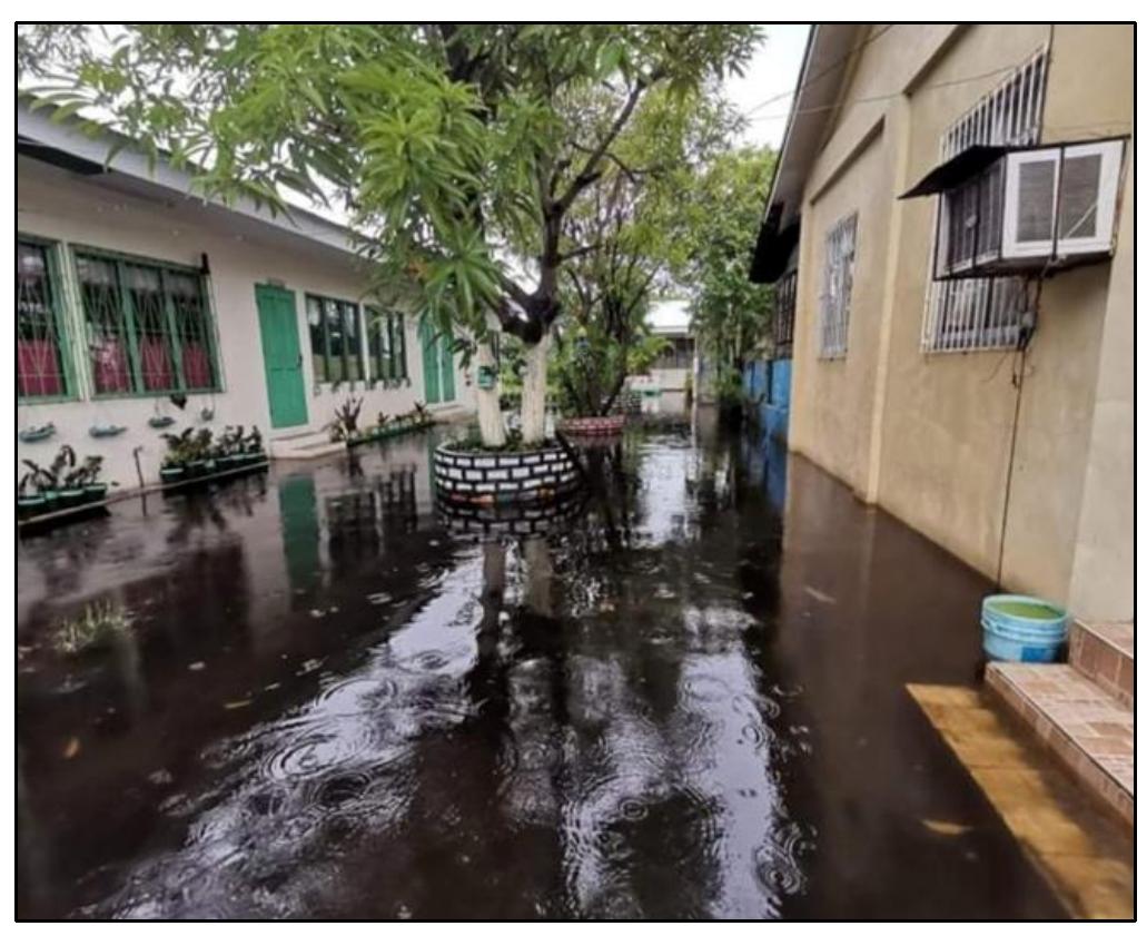 The stagnant flood water during rainy days in caingin
