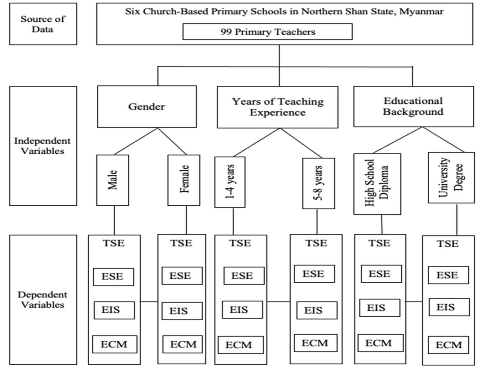 Conceptual framework. tse = teachers’ self-efficacy for
