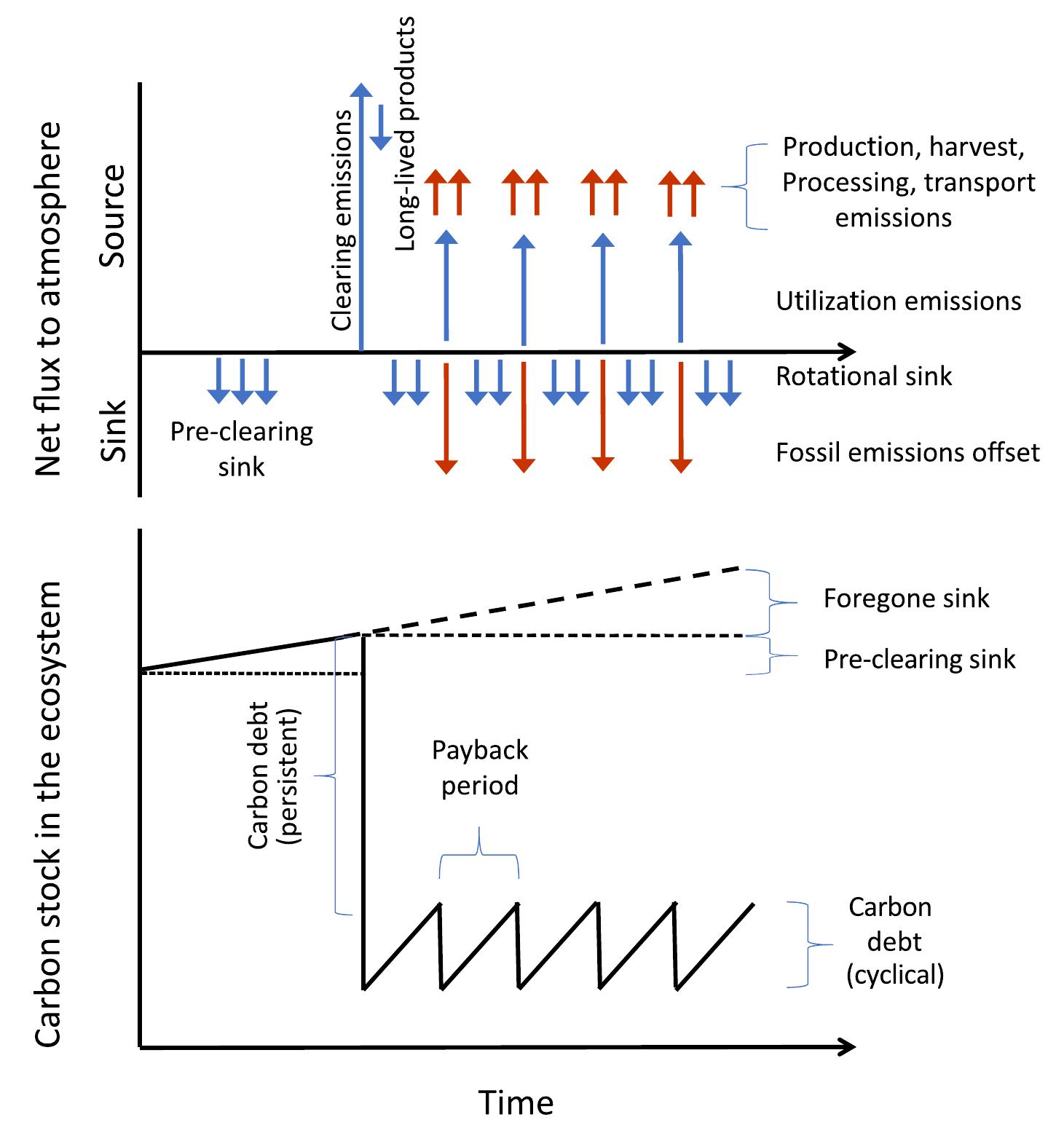 Schematic representation showing the elements of a complete