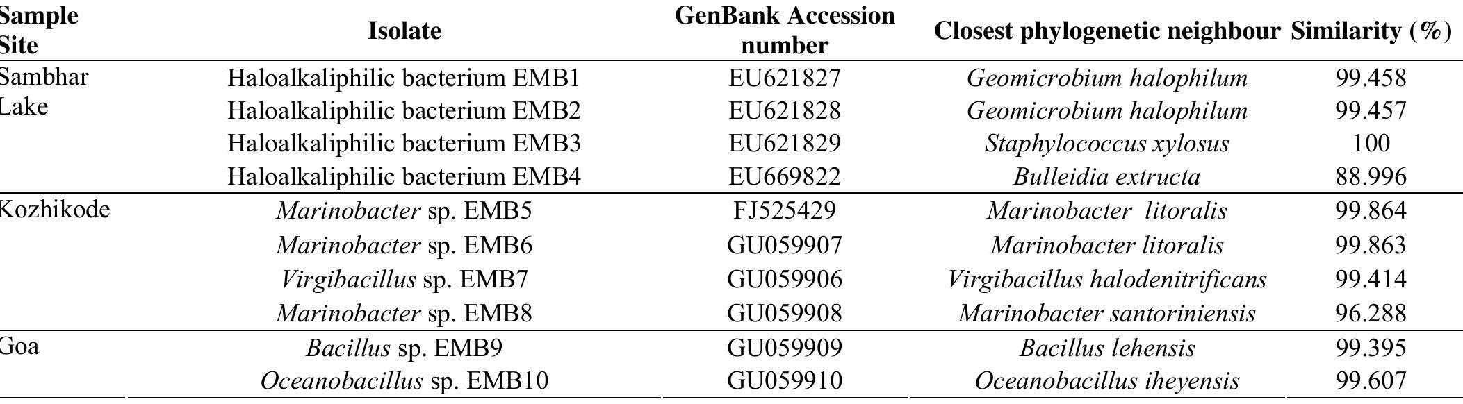 16s rrna gene identification of halophilic bacterial