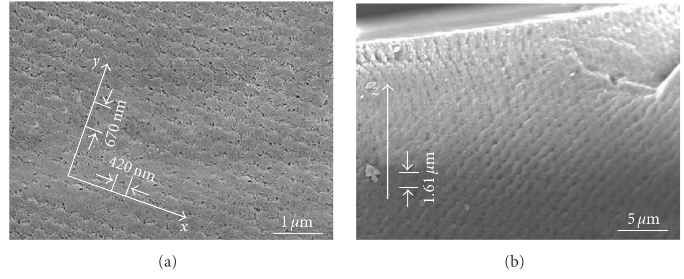 Urre 62: (a) sem images of the surface and (b) cross-section