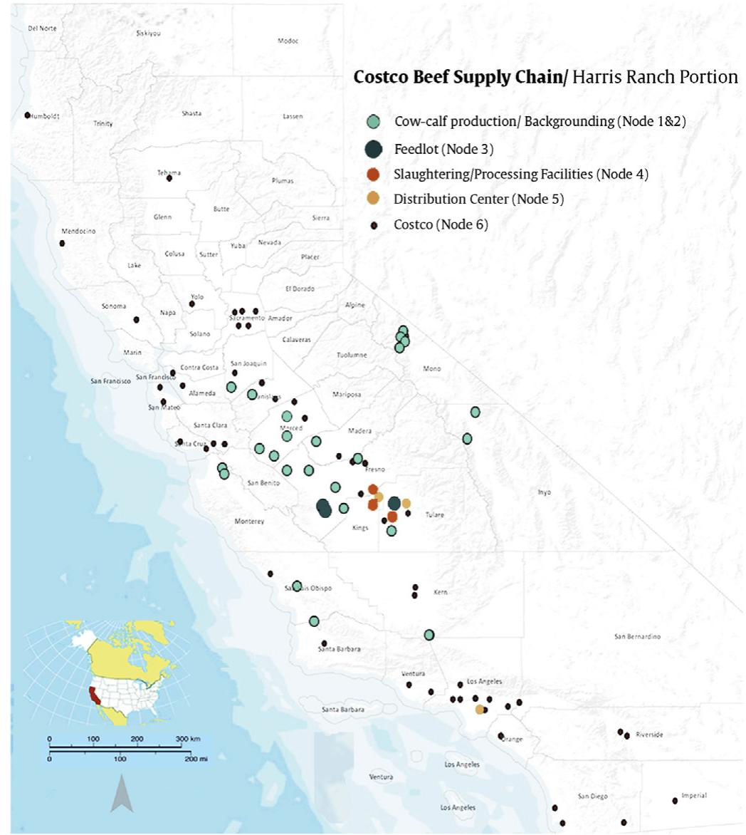Physical flow of beef in harris ranch supply chain.