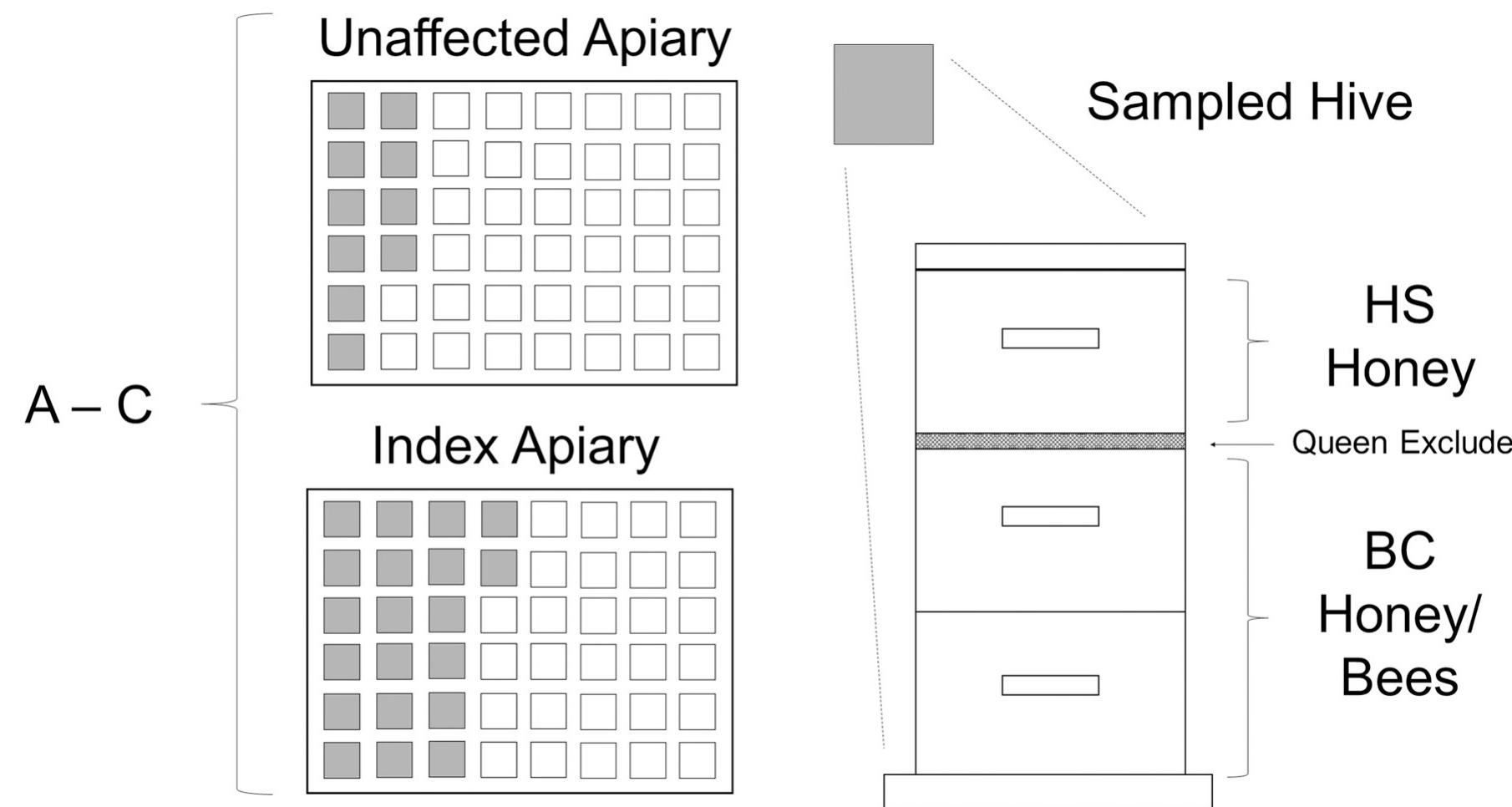 Visual schematic of sampling collection from individual