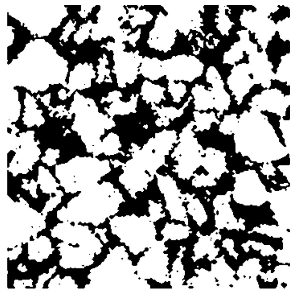 The 2d binary reference model with a size of 352 x 352