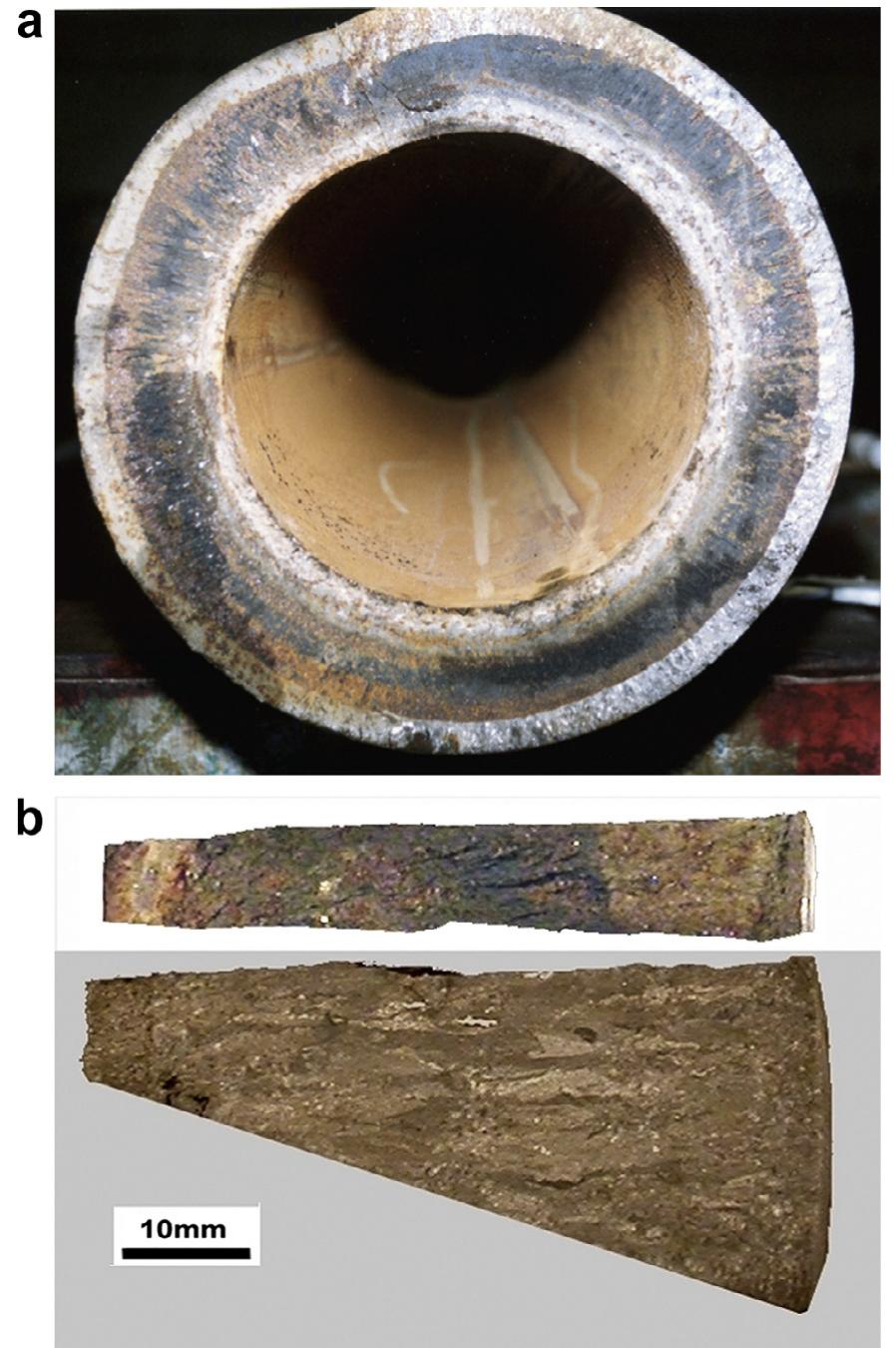(a) general view of the transversal fracture surface of the