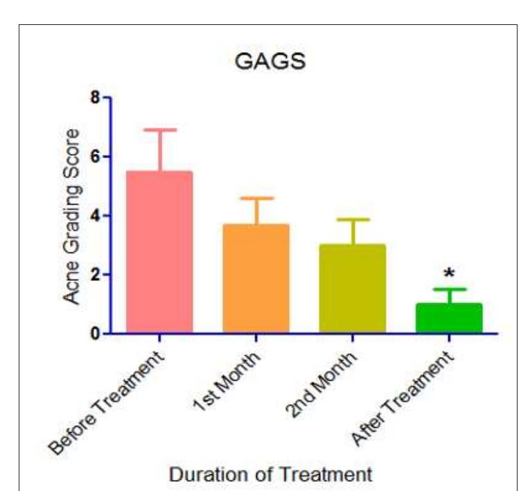 Acne severity assessment based on gags, each type of lesion