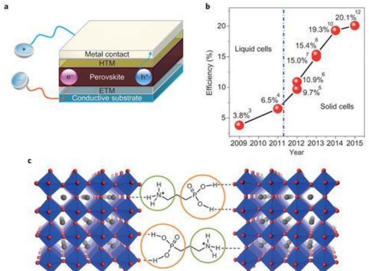 Perovskite solar cell structure and efficiency