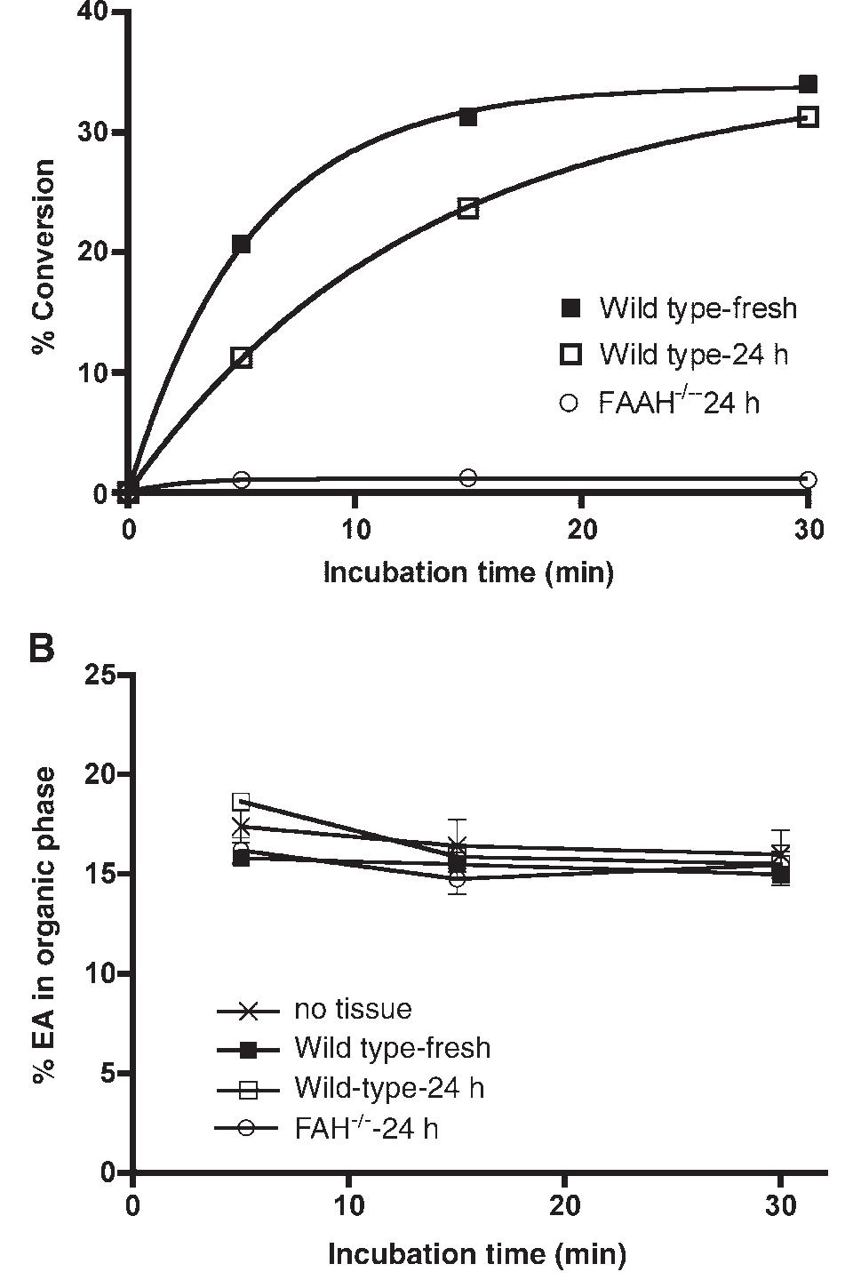 Faah hydrolysis is intact at 24 h postmortem, and no aea