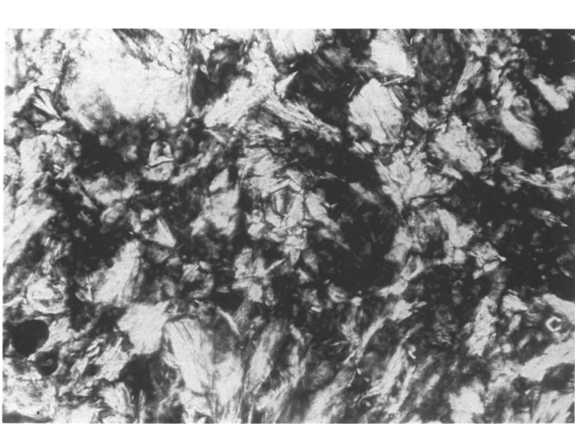 Photomicrographs showing typical examples of the texture of