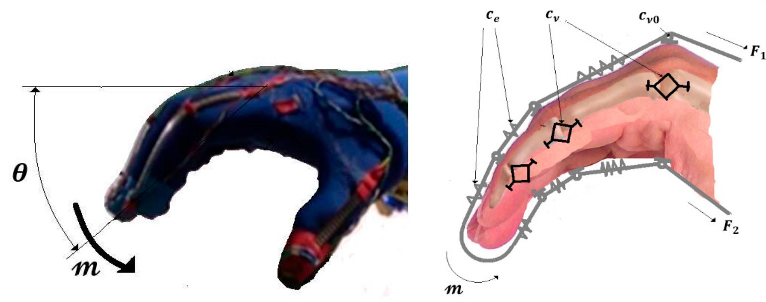 Exoskeleton glove and its biomechanical components. an