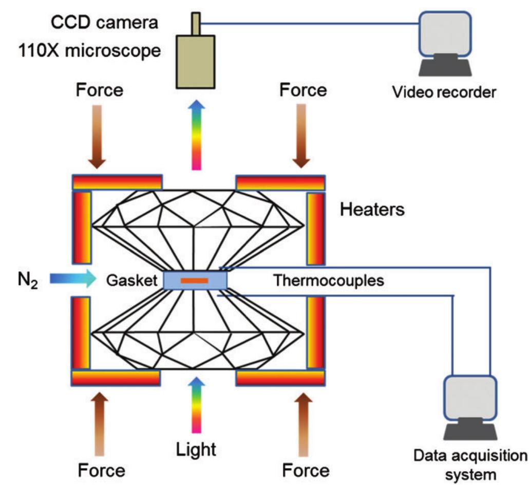 Schematics of a typical diamond anvil cell apparatus.
