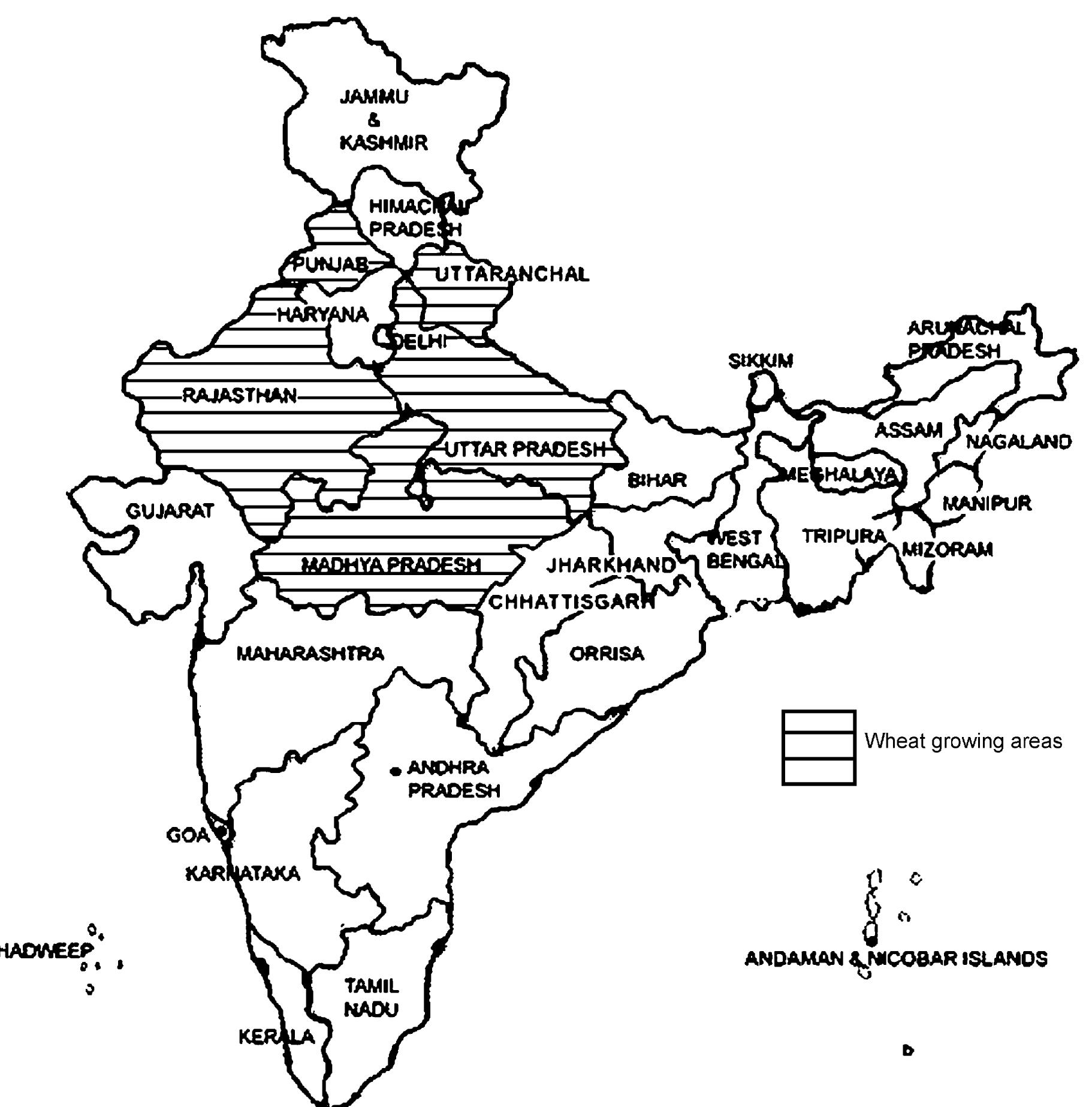 Map of india indicating major wheat growing areas considered