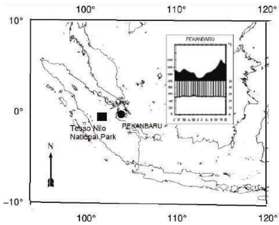 A map of the study site at tesso nilo national park and a