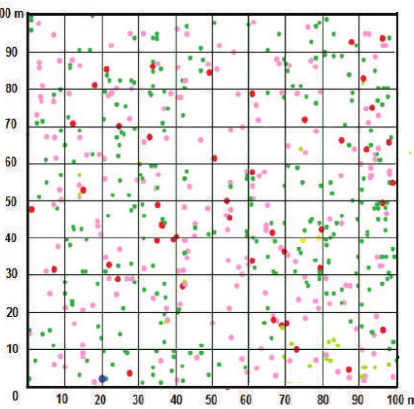 Map of all trees 2 10 cm dbh in the study plot at the tesso