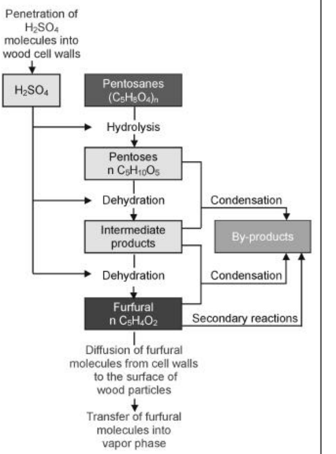 The mechanism of furfural production in the presence of