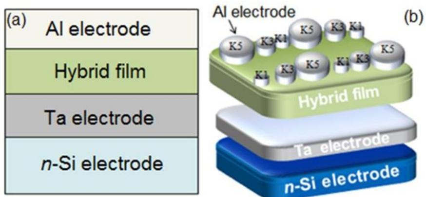 The surface and cross-section morphology of the hybrid films