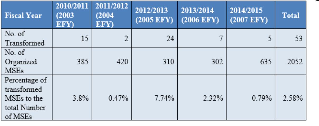 Adapted from “lideta sub city mses development agency gtp i