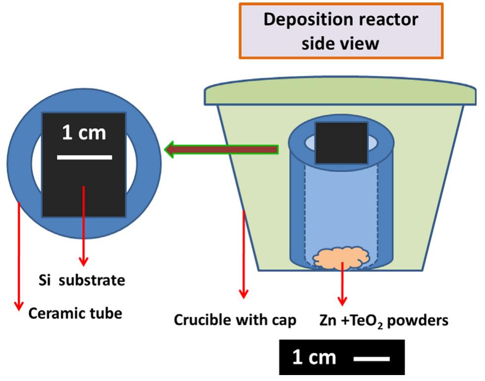 Schematic illustration of synthesis reactor.