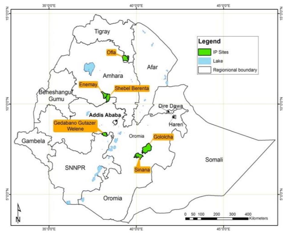 Wheat value chain analysis study districts shebelberenta