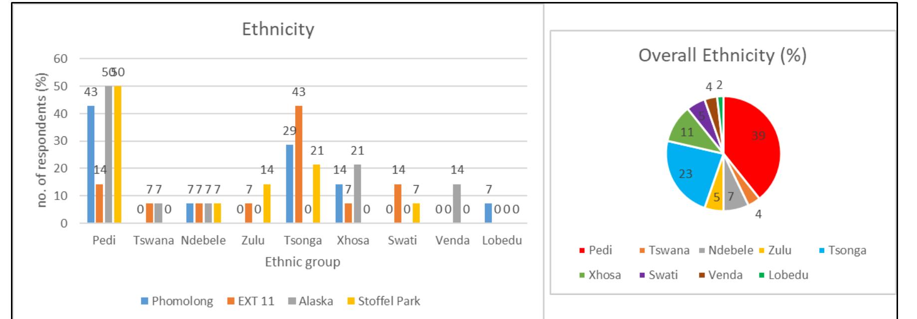 (PDF) Land acquisition and the growth of informal settlements in South ...
