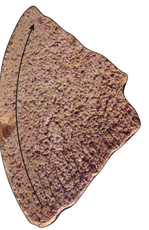 Concentric traces of abrasion on the work surface (11c).