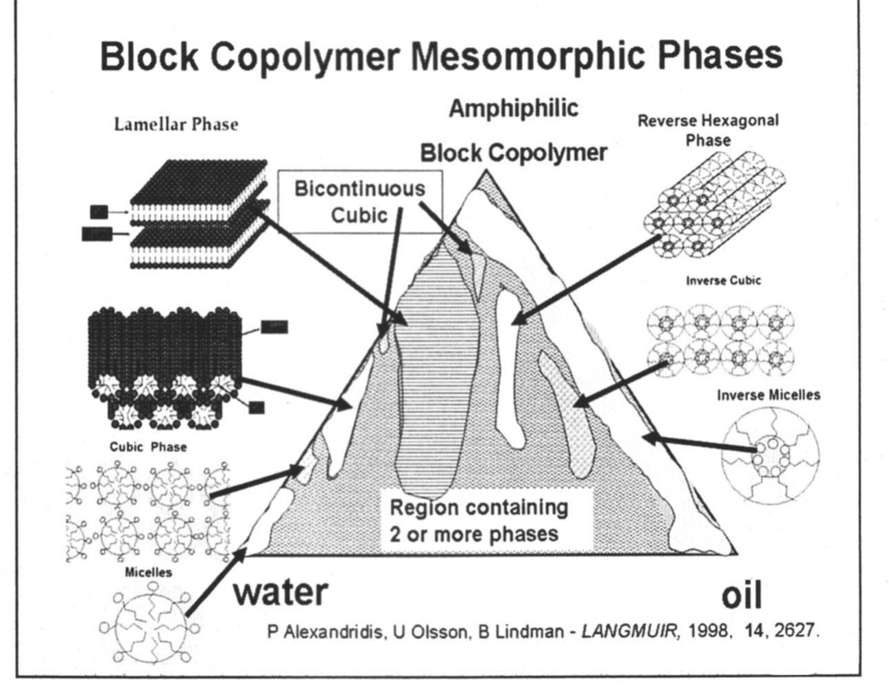 A representative phase diagram of an amphiphilic polymer