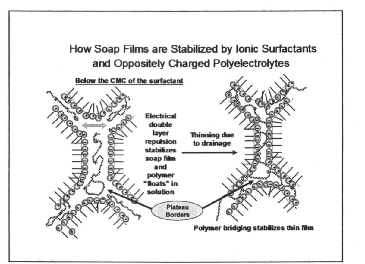 A schematic illustration of foam stabilization by cationic