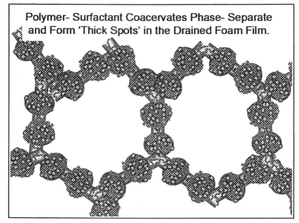A schematic illustration of the location of