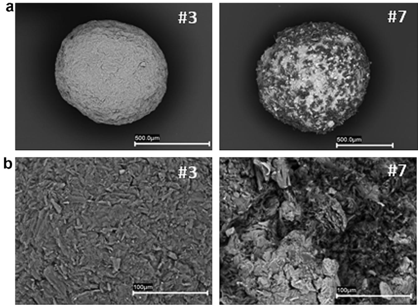 Sem images of formulations 3 and 7: (a) the whole pellet;