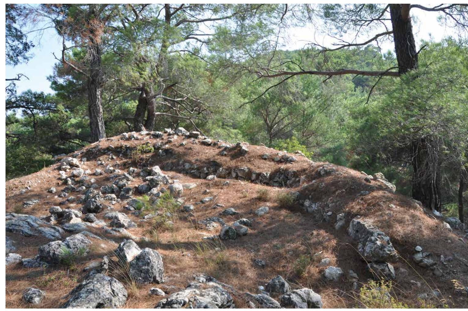 Kale tepe plateau, with the rubble wall’ tsw10-52. photo e.