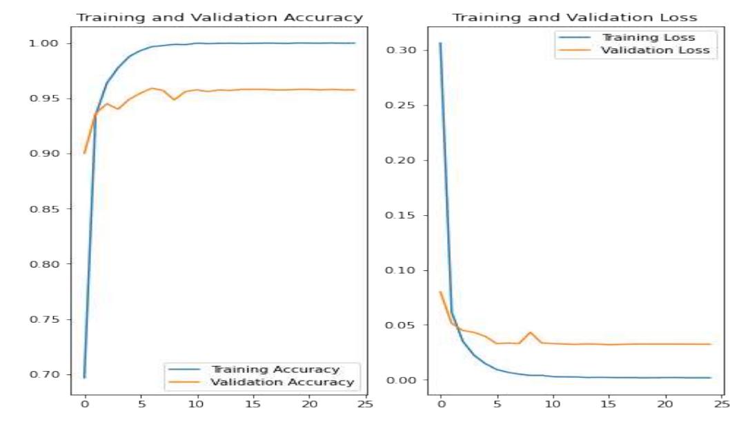 Accuracy And Loss Curve With Swin Transformer Network For