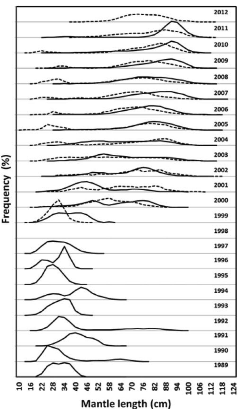 Annual size structure of dosidicus gigas in the artisanal