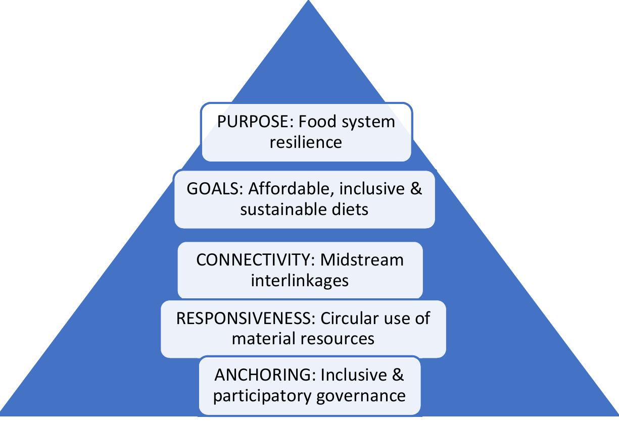 Food system transformation pyramid coherent policies for