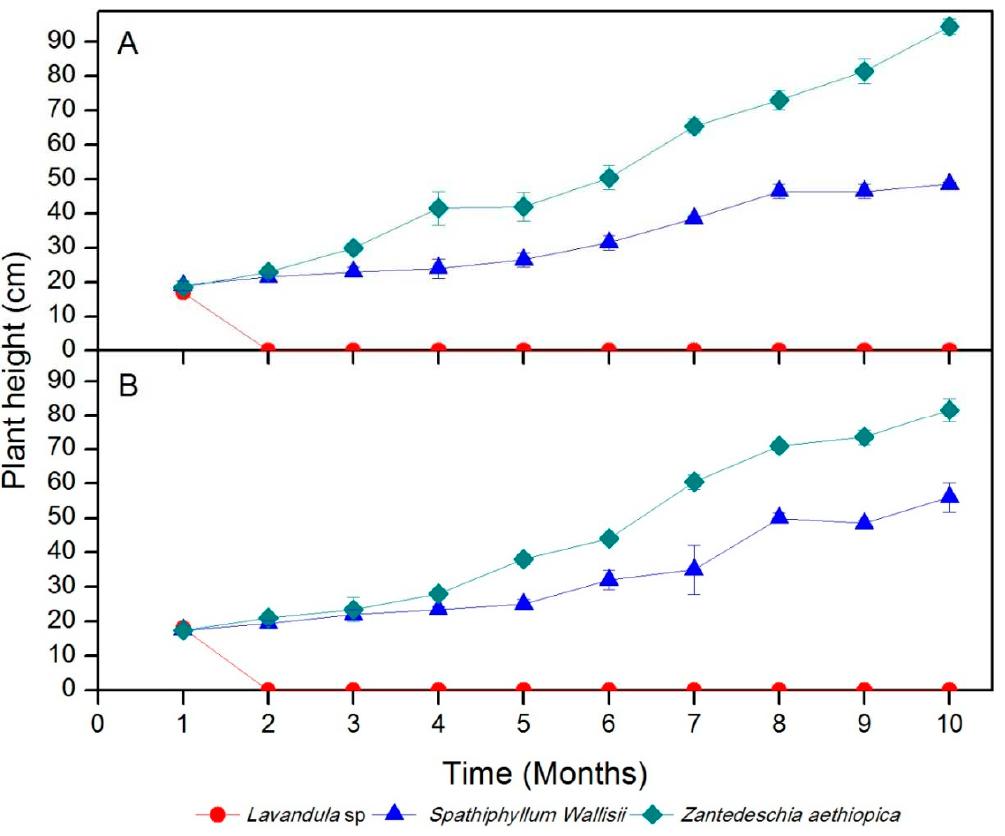 Plant height of lavandula sp., spathiphyllum wallisii, and