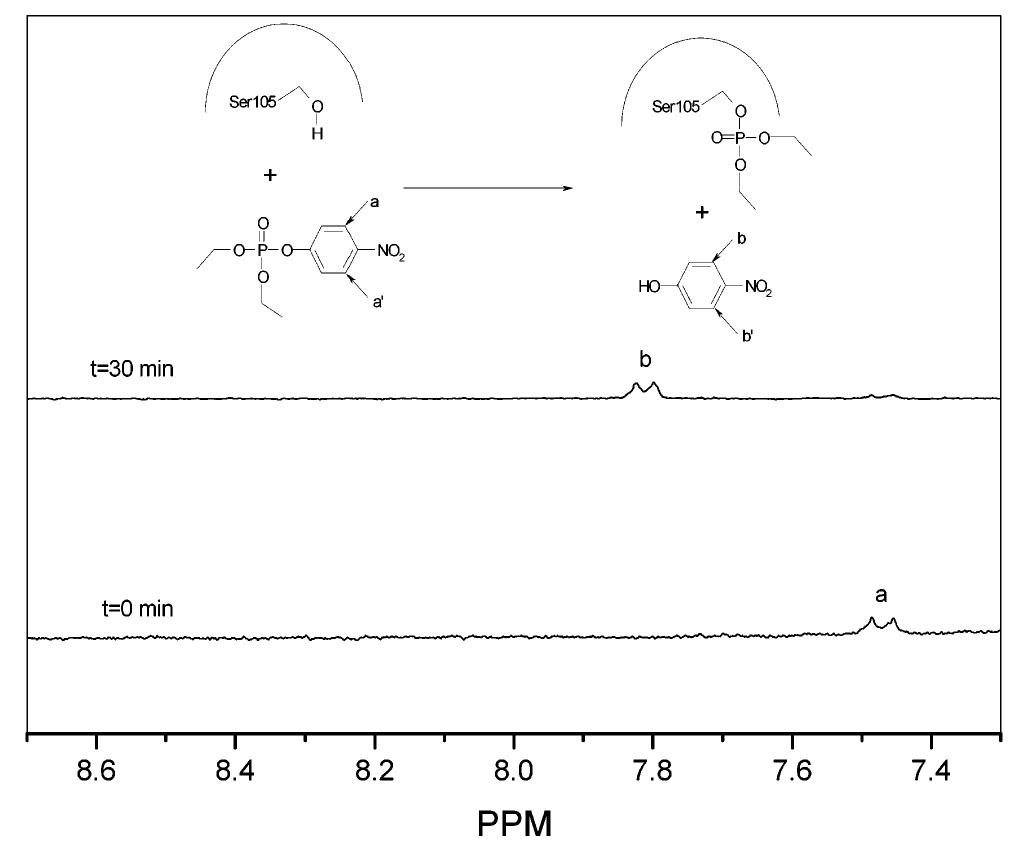 Proton (1h) nmr spectra recorded at time 0 (a) and 30 min