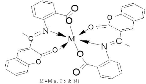 Structure of the ligand. fig. 4. structure of mn!, co!! and