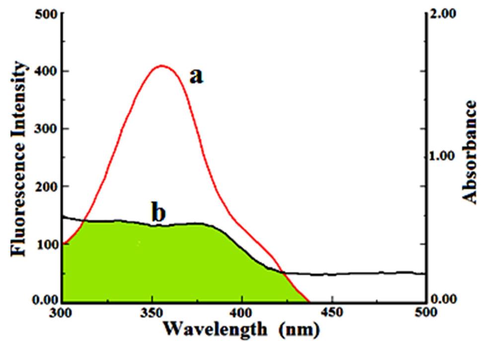 The overlap of uv absorption spectra of compound 11 with the