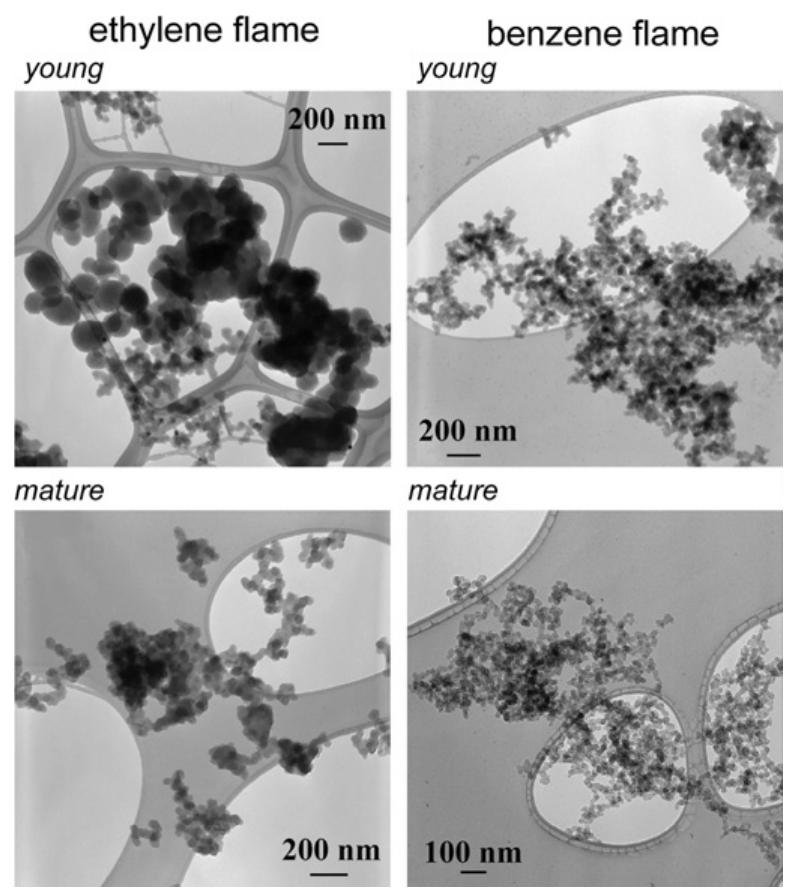 Tem images of young and mature ethylene and benzene soot.