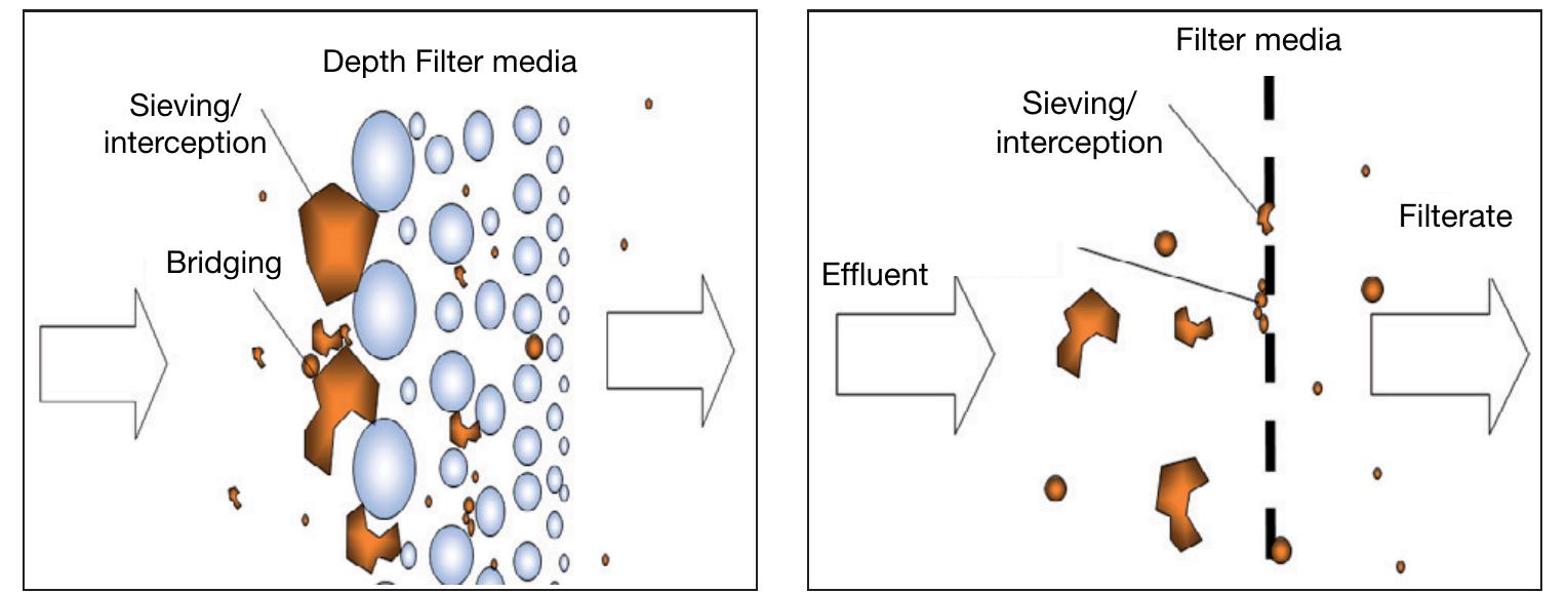 Schematic of a depth filtration mechanism. figure 2: