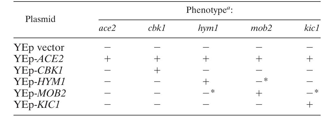 mutant phenotype, altered colony morphology, and low