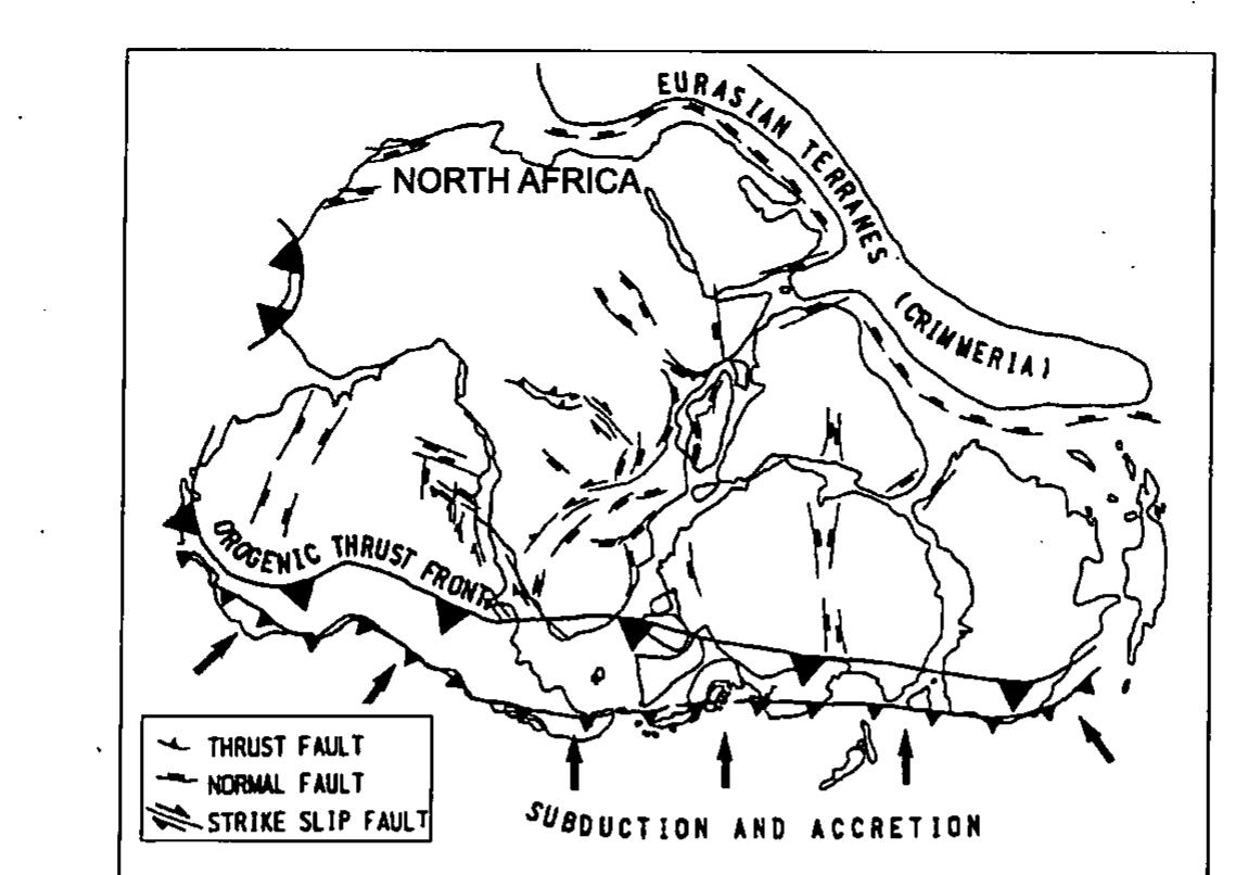 3 late palaeozoic to early mesozoic (250 +/-50 ma)