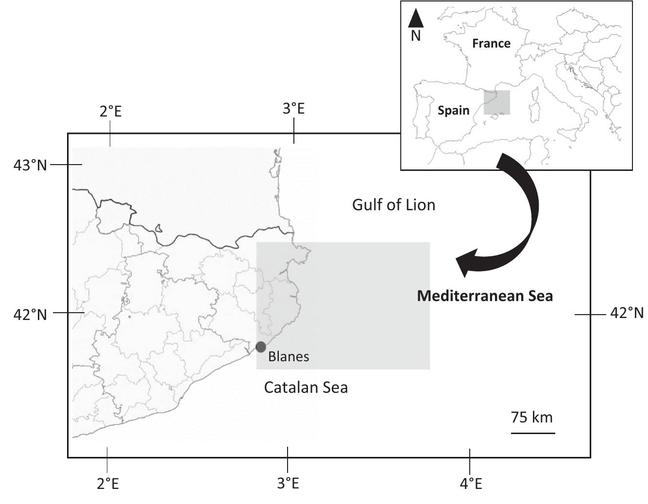 Map of the fishing port (blanes) in the northern catalan sea